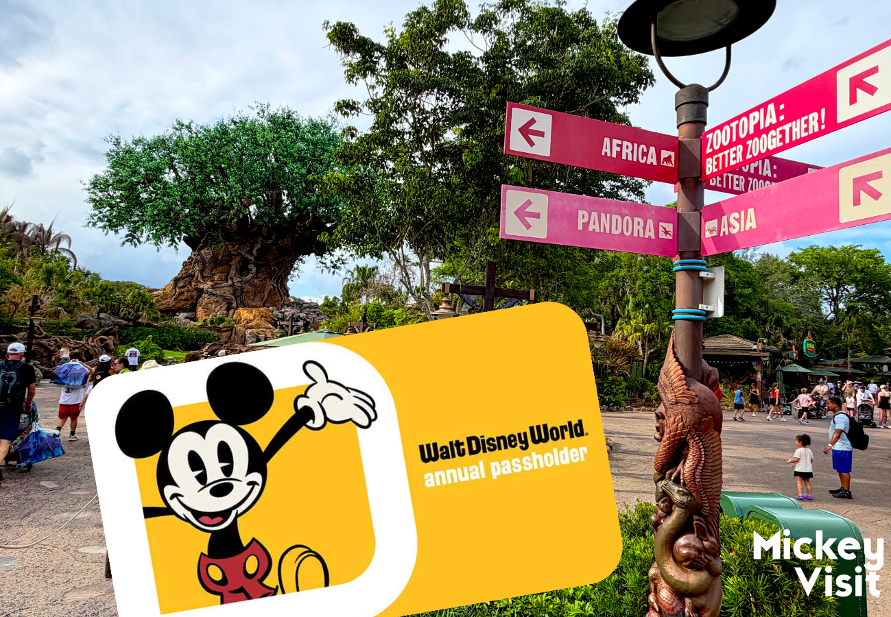 11 New Disney World Annual Passholders Perks Announced for Summer