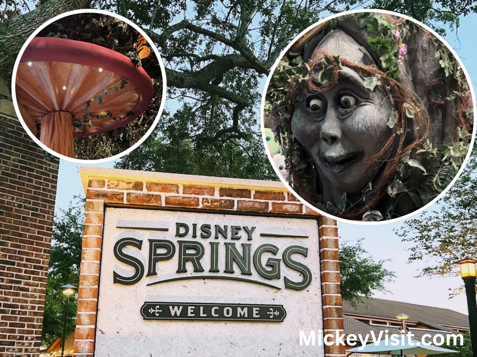 No Smoking Allowed at Walt Disney World- What Smokers Need to Know ...